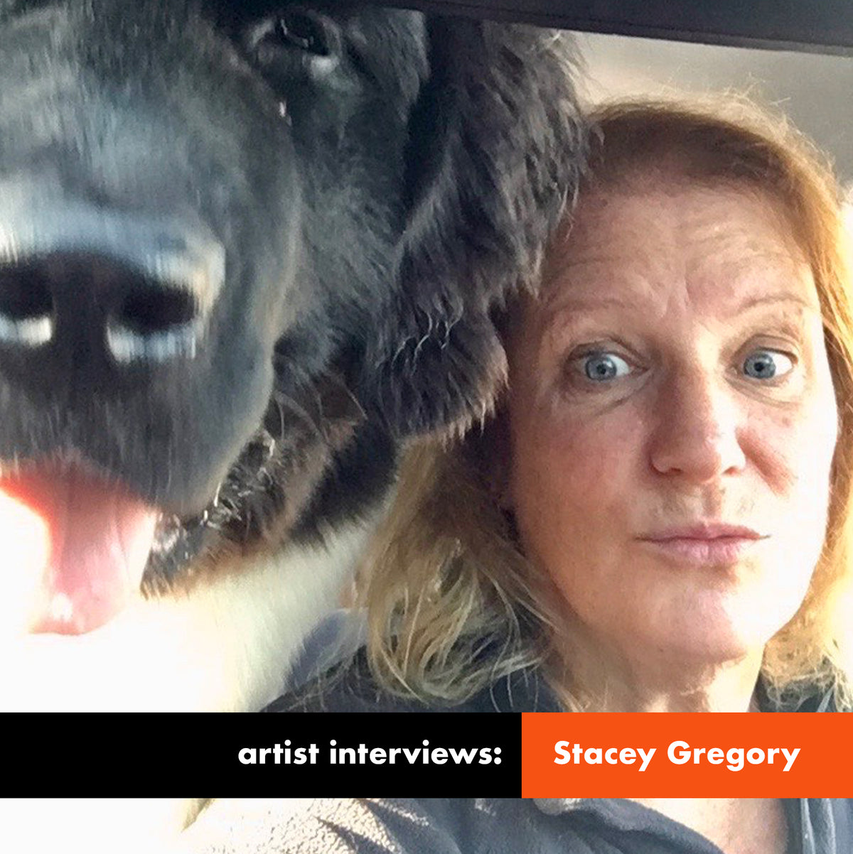 Artist Interviews: Stacey Gregory | Art Makes Us